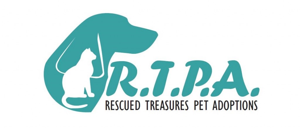 Rescued Treasures – Pet Adoptions